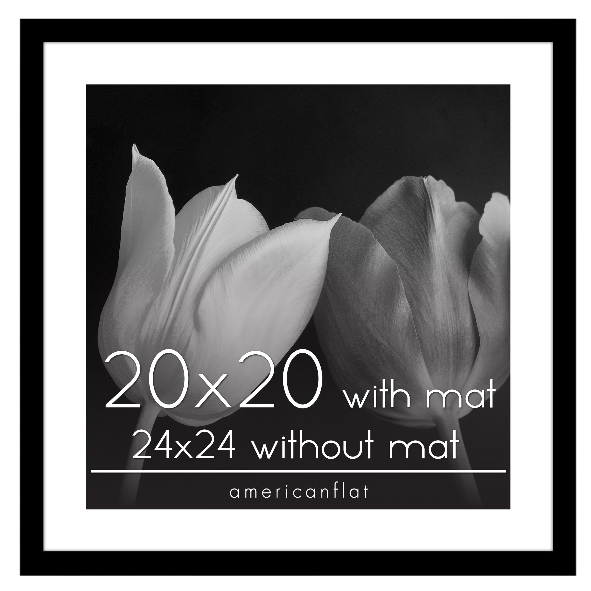 20x20 Frames - Various Styles Available | Americanflat