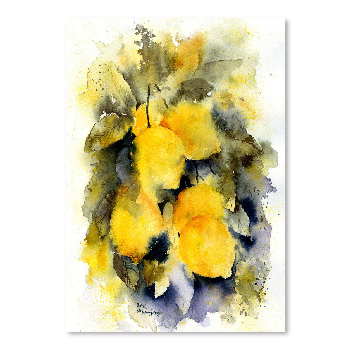 Lemon Tree Art Gallery