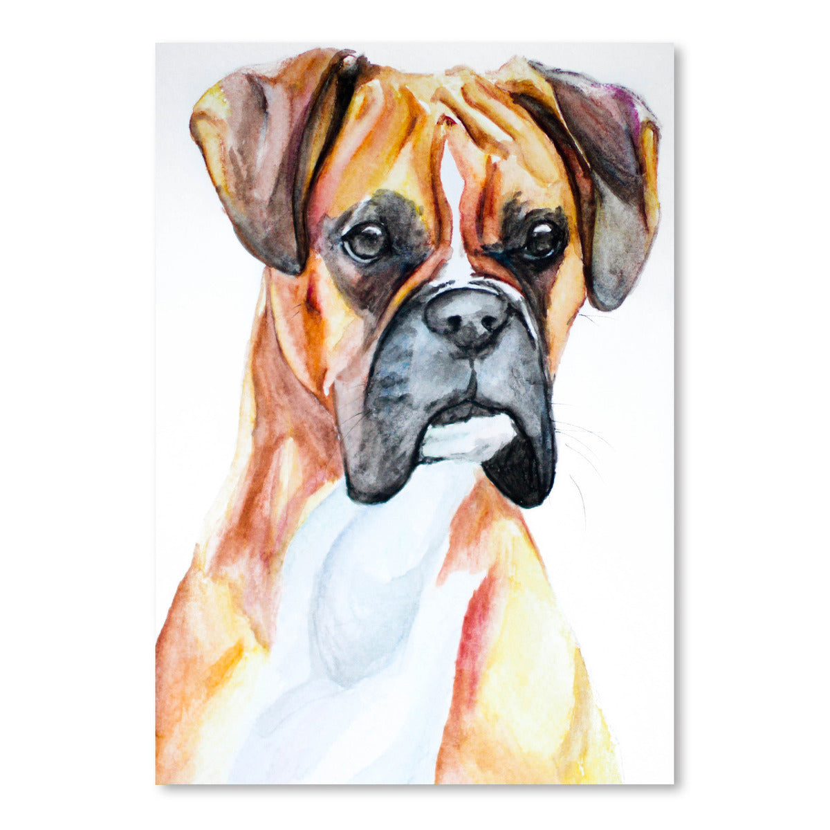 Fawn Color Boxer