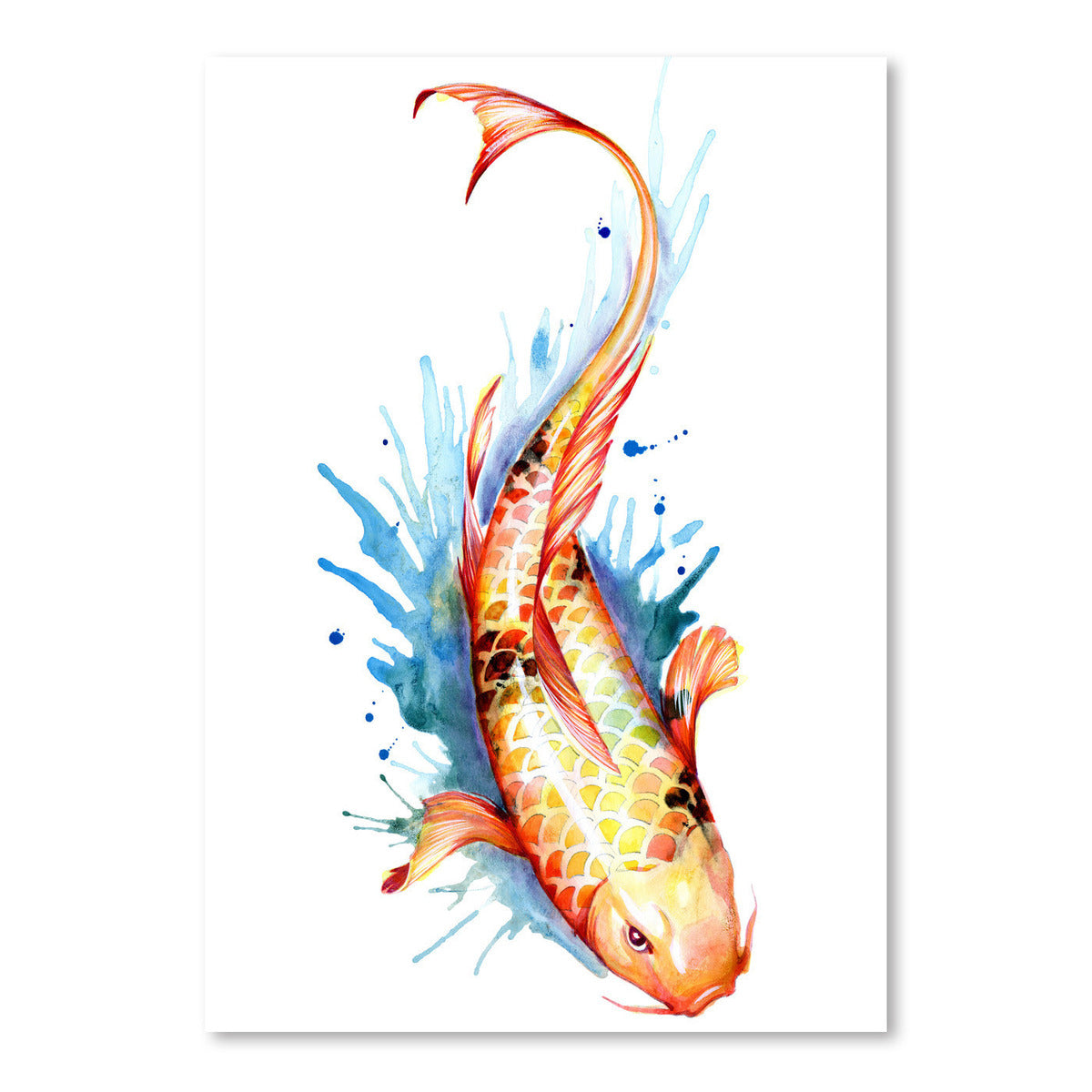 2 Koi Fish Drawing Color