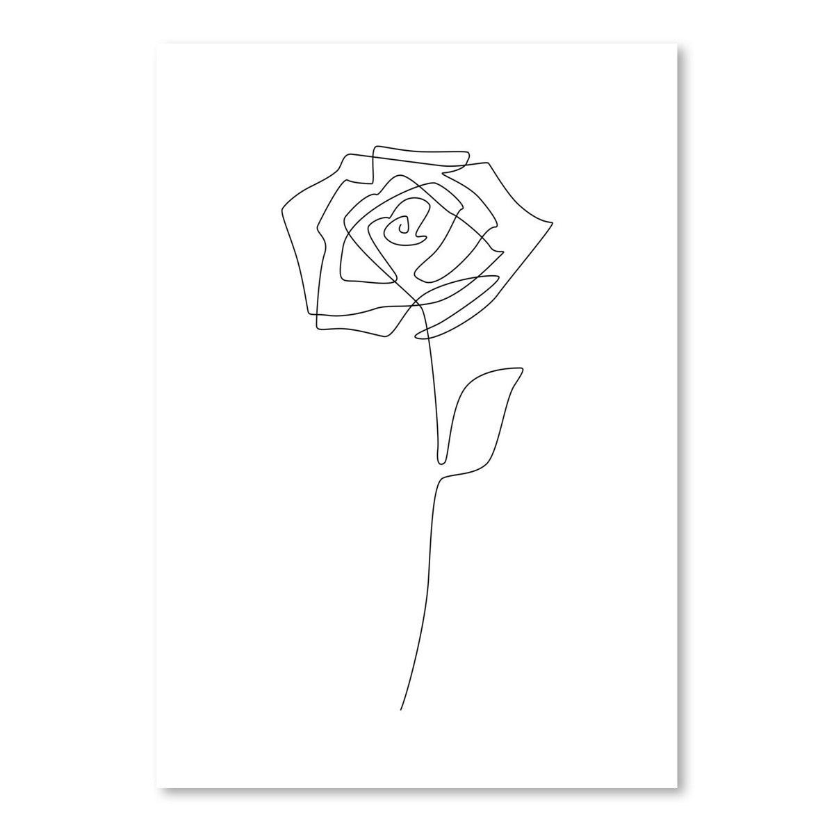 Cool Simple Rose Drawings