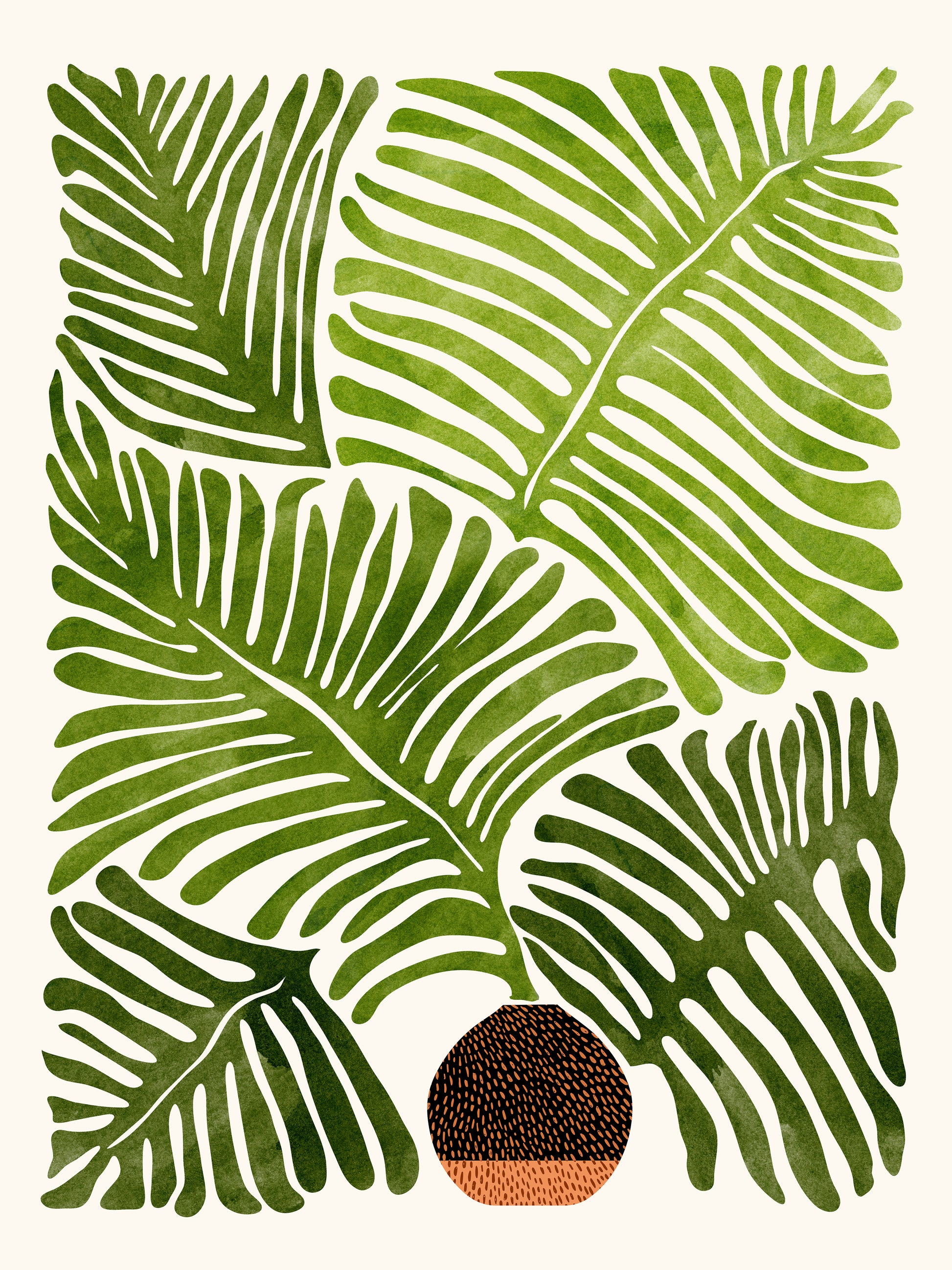 Tropical Drawings