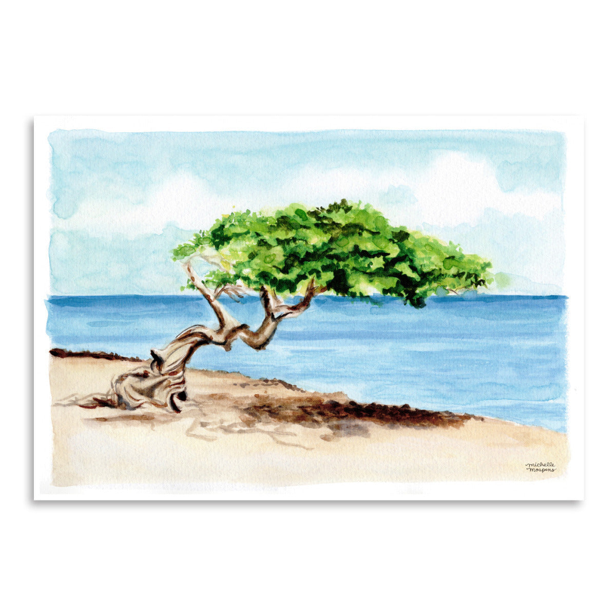 Divi Divi Tree Paintings
